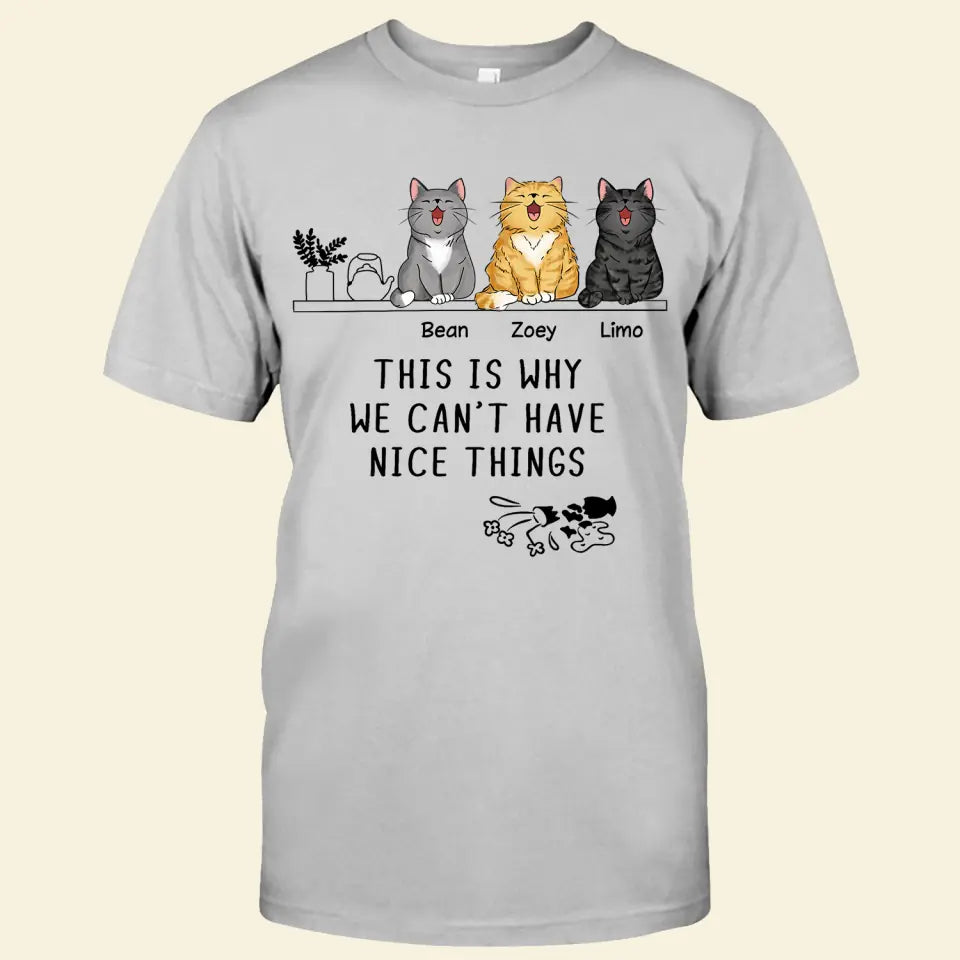 This Is Why We Can't Have Nice Things Personalized T-shirt TS-NB2598 — CUSTOMA2Z